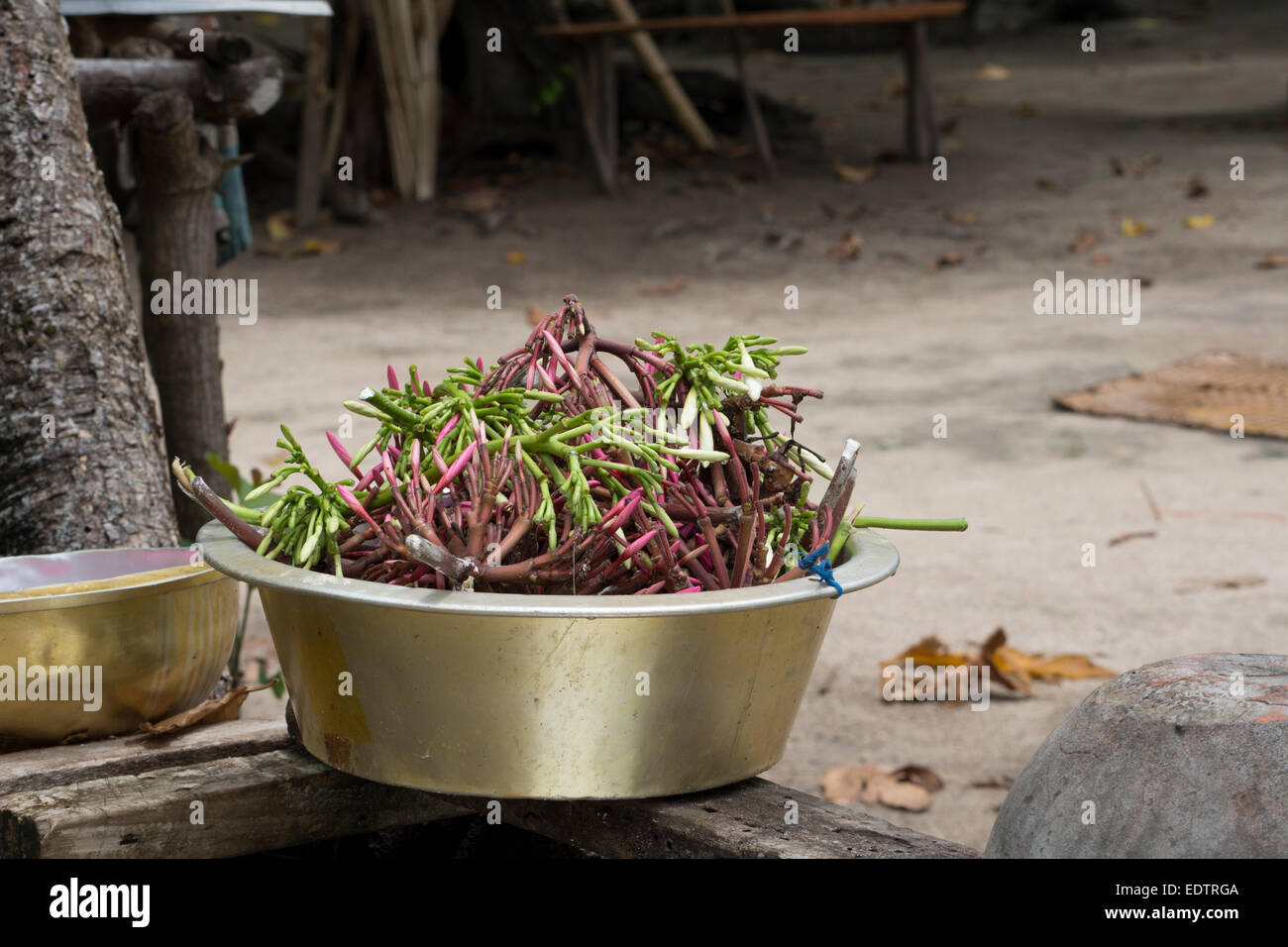 Republic of Vanuatu, Torres Islands, Loh Island. Loh island village ...