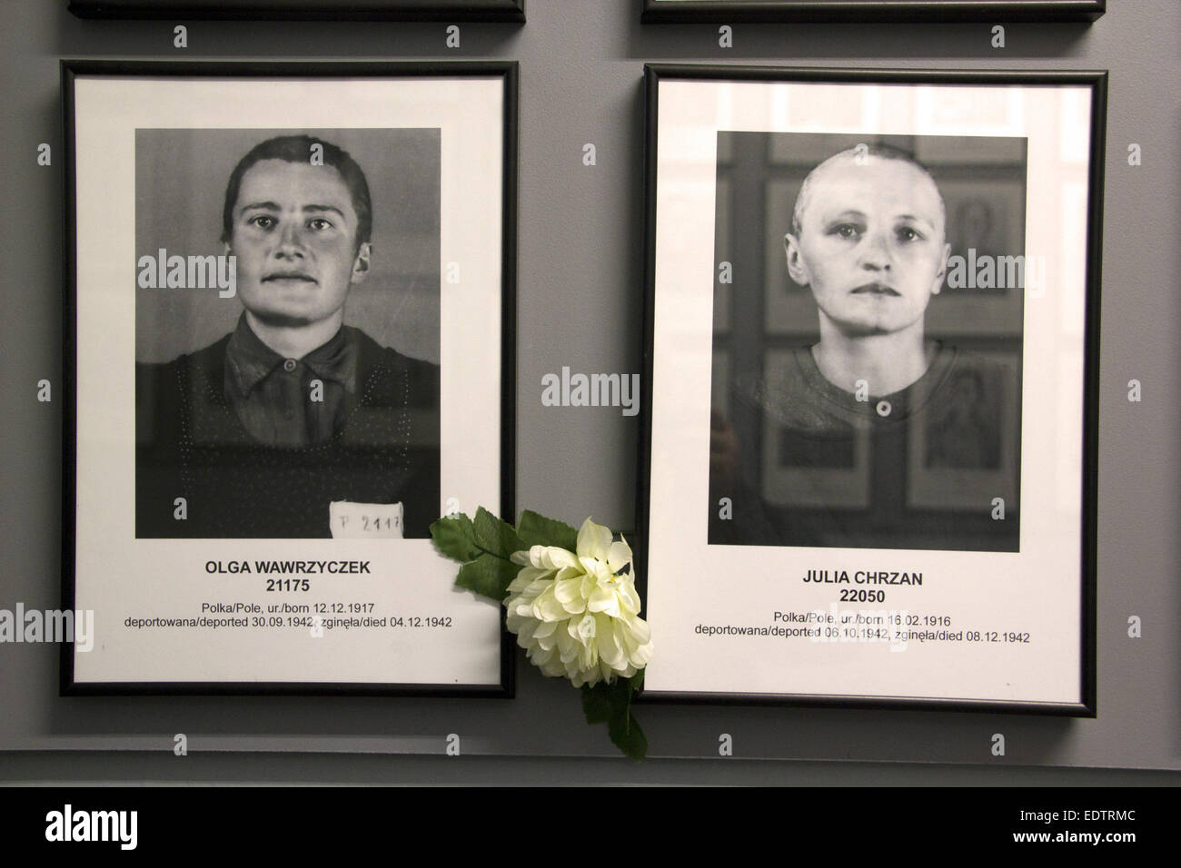 Auschwitz museum hair hi-res stock photography and images - Alamy