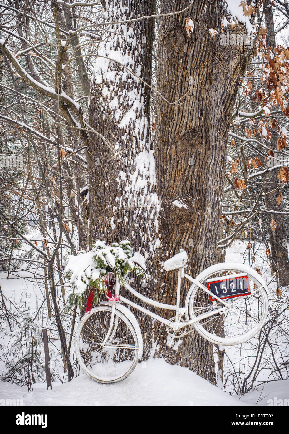 Hanging bicycle hi-res stock photography and images - Alamy