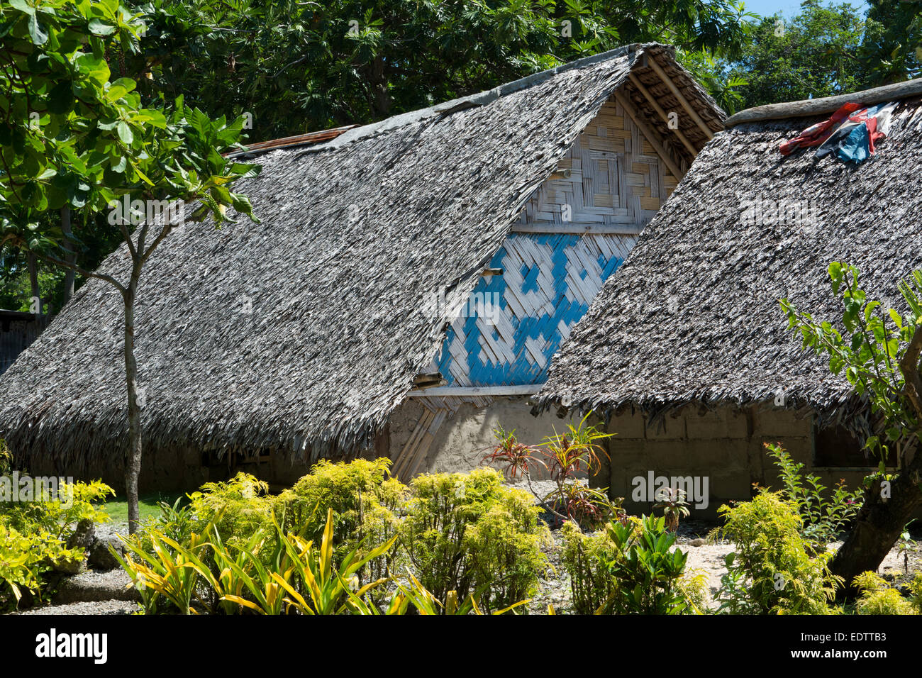 Melanesia, Vanuatu, Rano Island. Typical thatched village home Stock ...