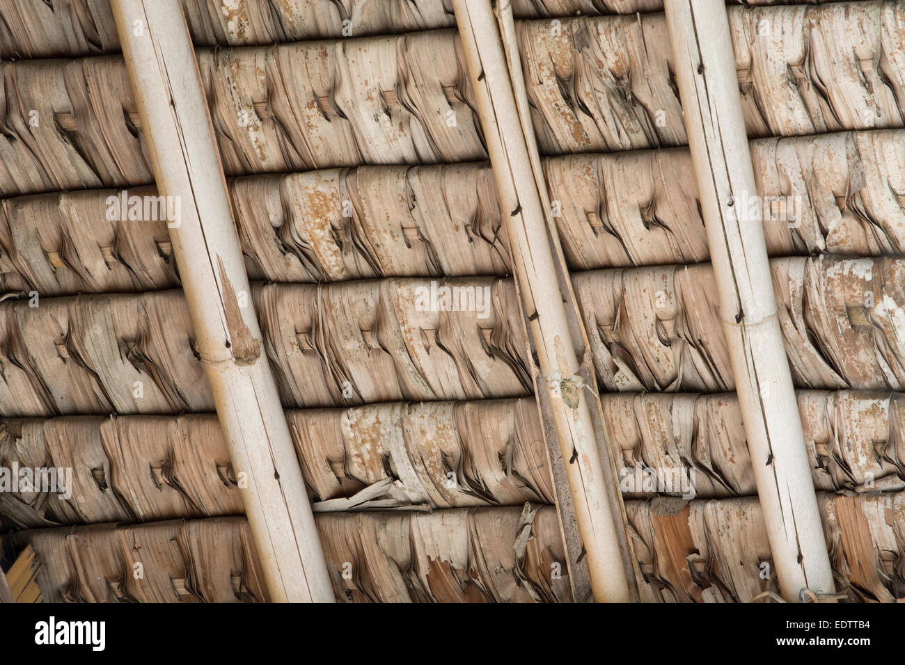 Melanesia, Vanuatu, Rano Island. Typical thatched village home, detail ...