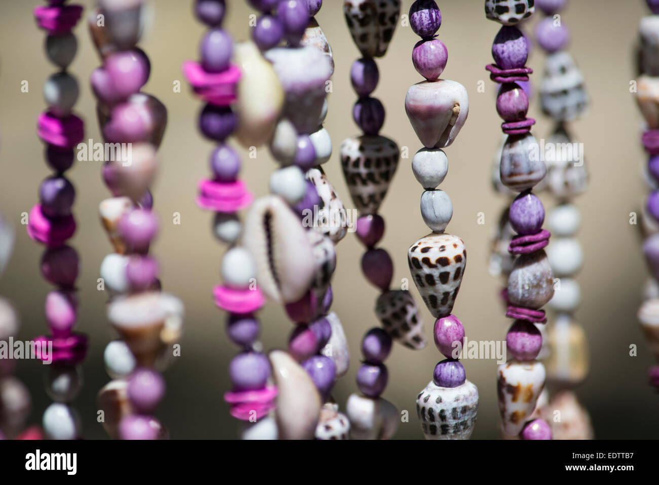 Melanesia, Vanuatu, Rano Island. Colorful seashell and seed souvenir ...