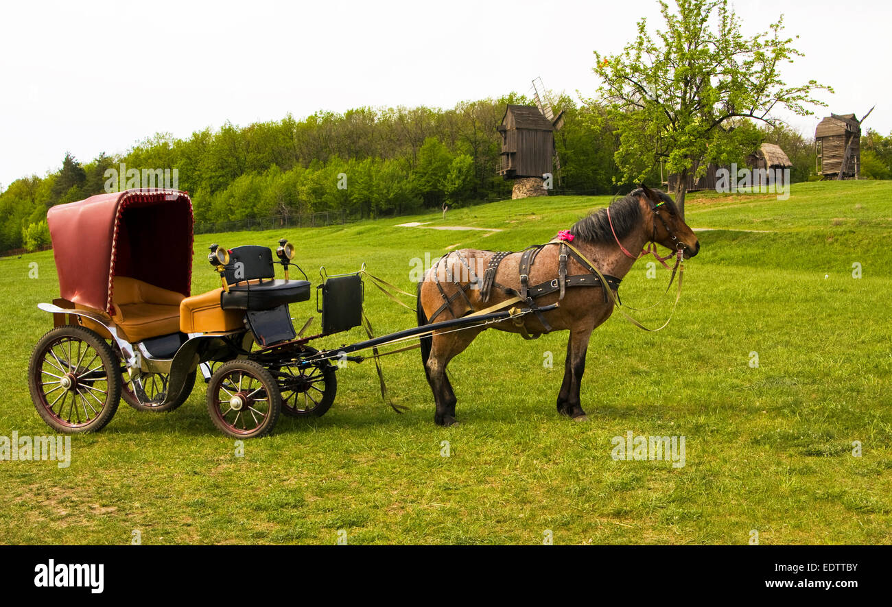 Brown carriage with brown horse on green field, wooden windmills behind ...
