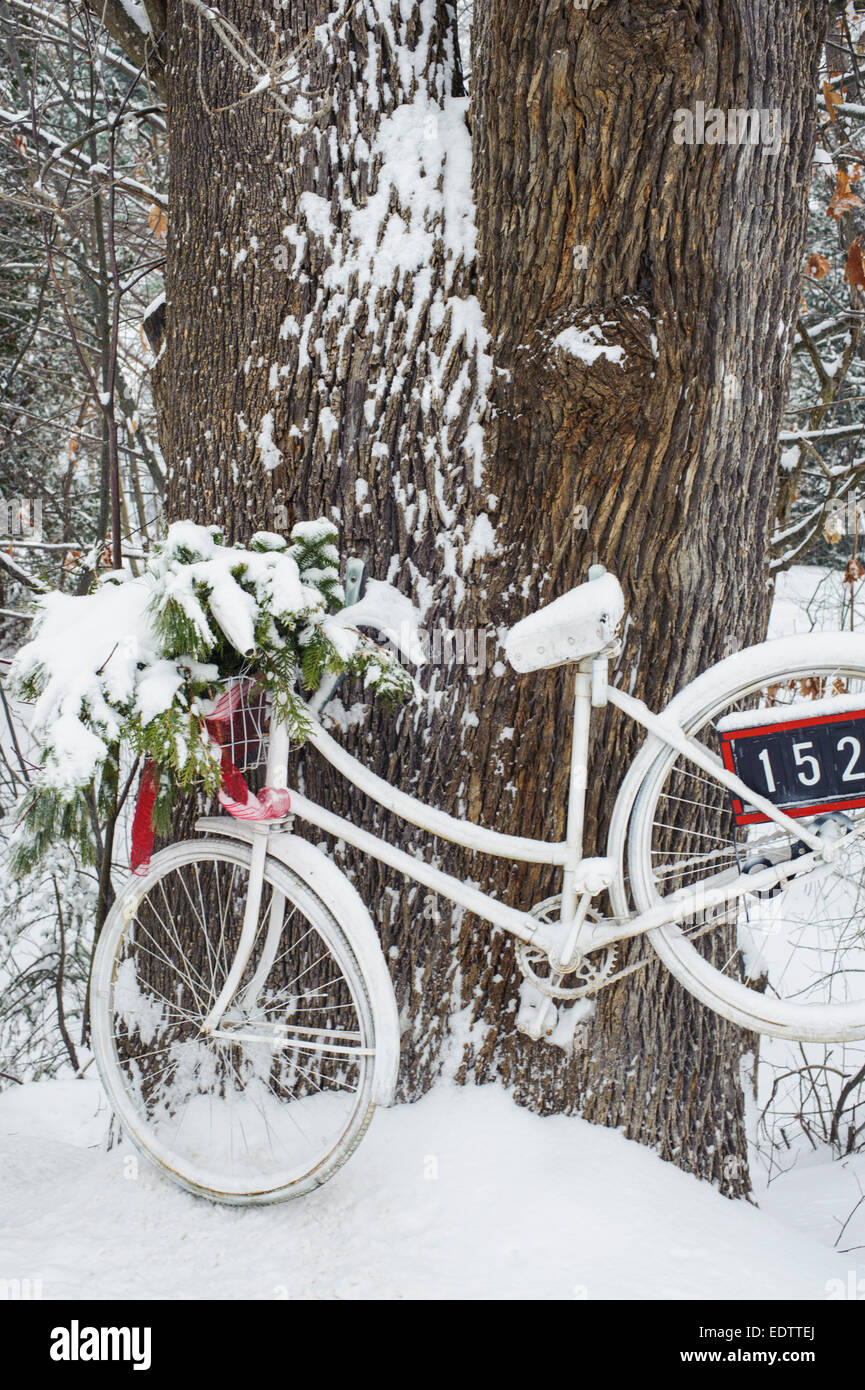 Light snow bicycle hi-res stock photography and images - Alamy