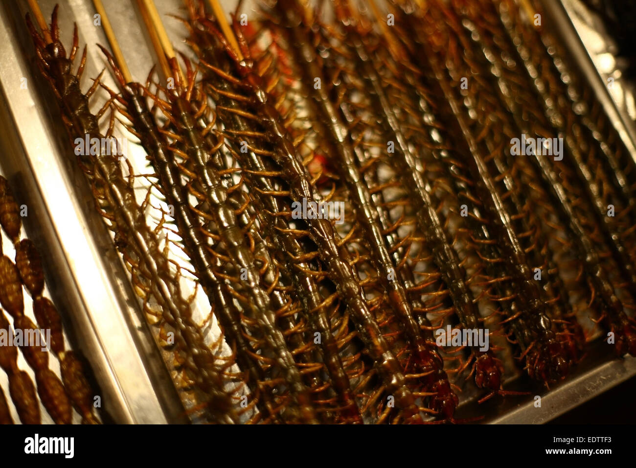 Centipede on stick hi-res stock photography and images - Alamy