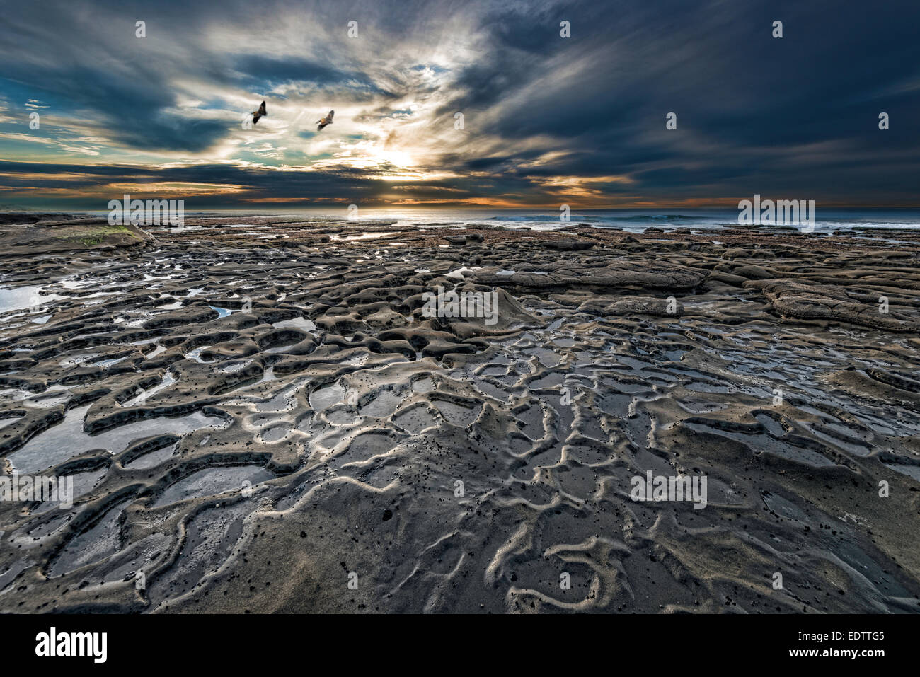 Tidal pools are revealed during low tide at Potholes at Hospitals reef ...
