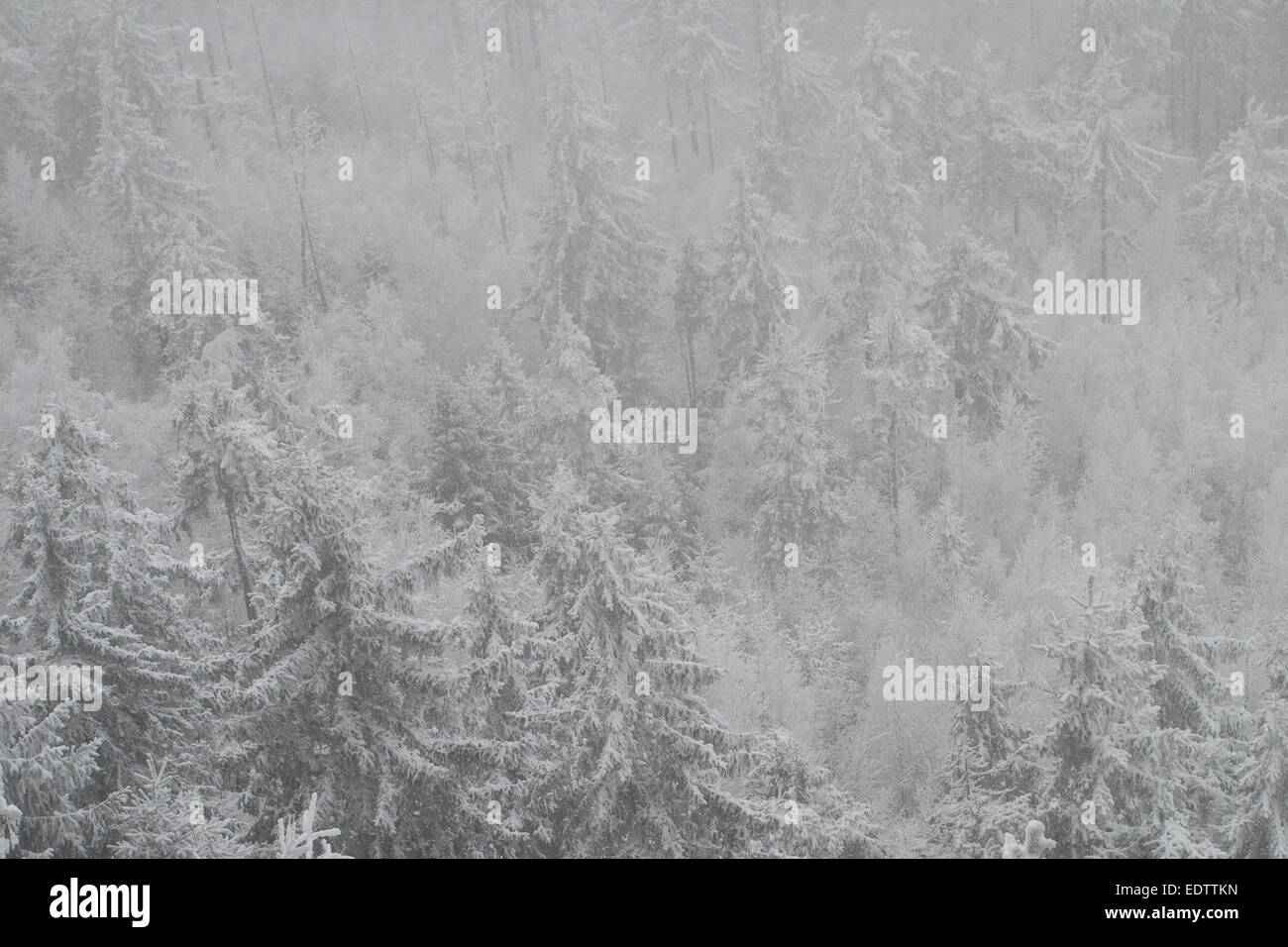 Freezing cold outdoors windy hi-res stock photography and images - Alamy