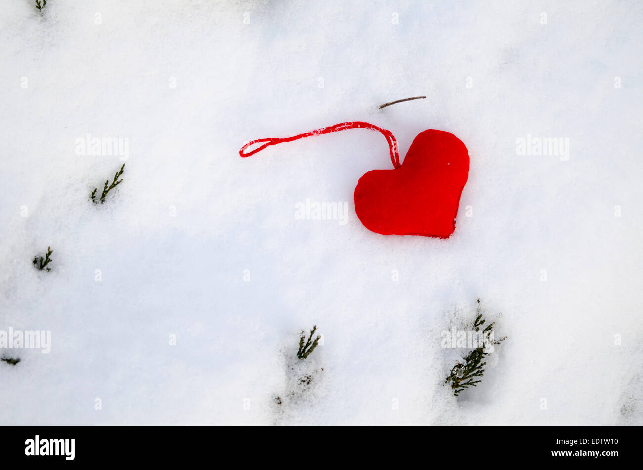 Red heart on snow with fir branches protruding through Stock Photo - Alamy