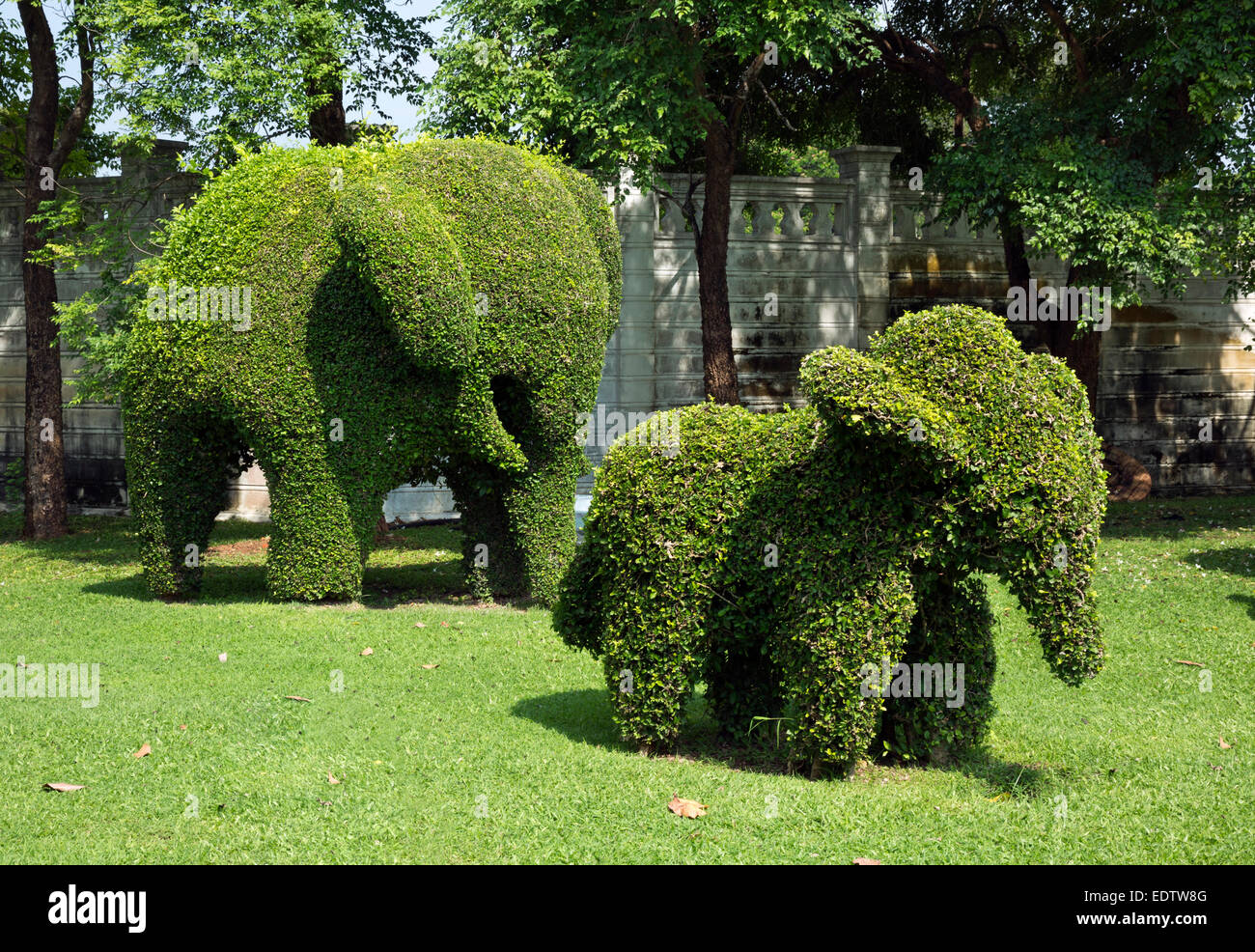 TH00246-00...THAILAND - Elephant shaped bushes roam the ground of the ...