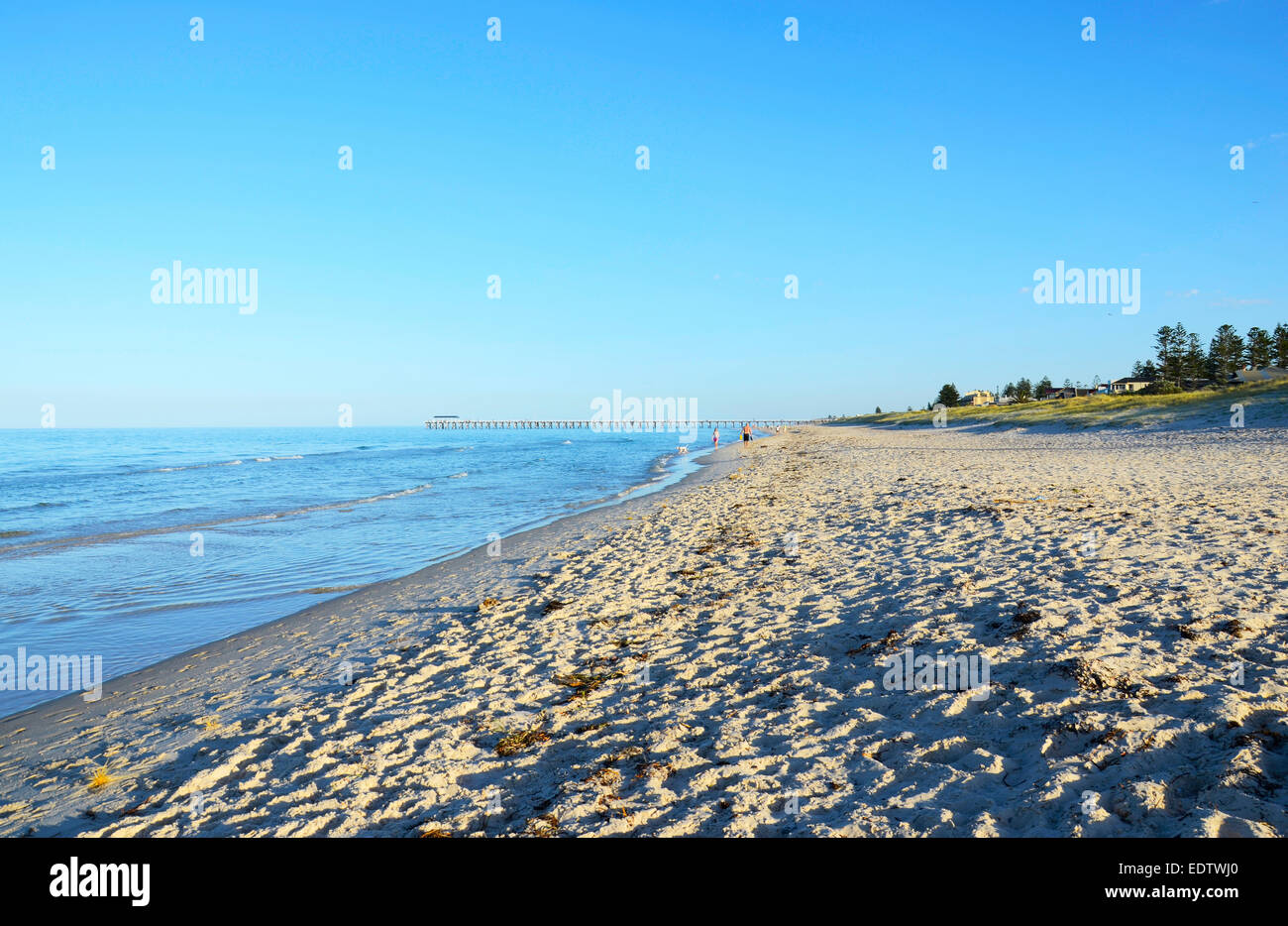 Early summer morning at 7 am on beautiful wide open beach with jetty ...