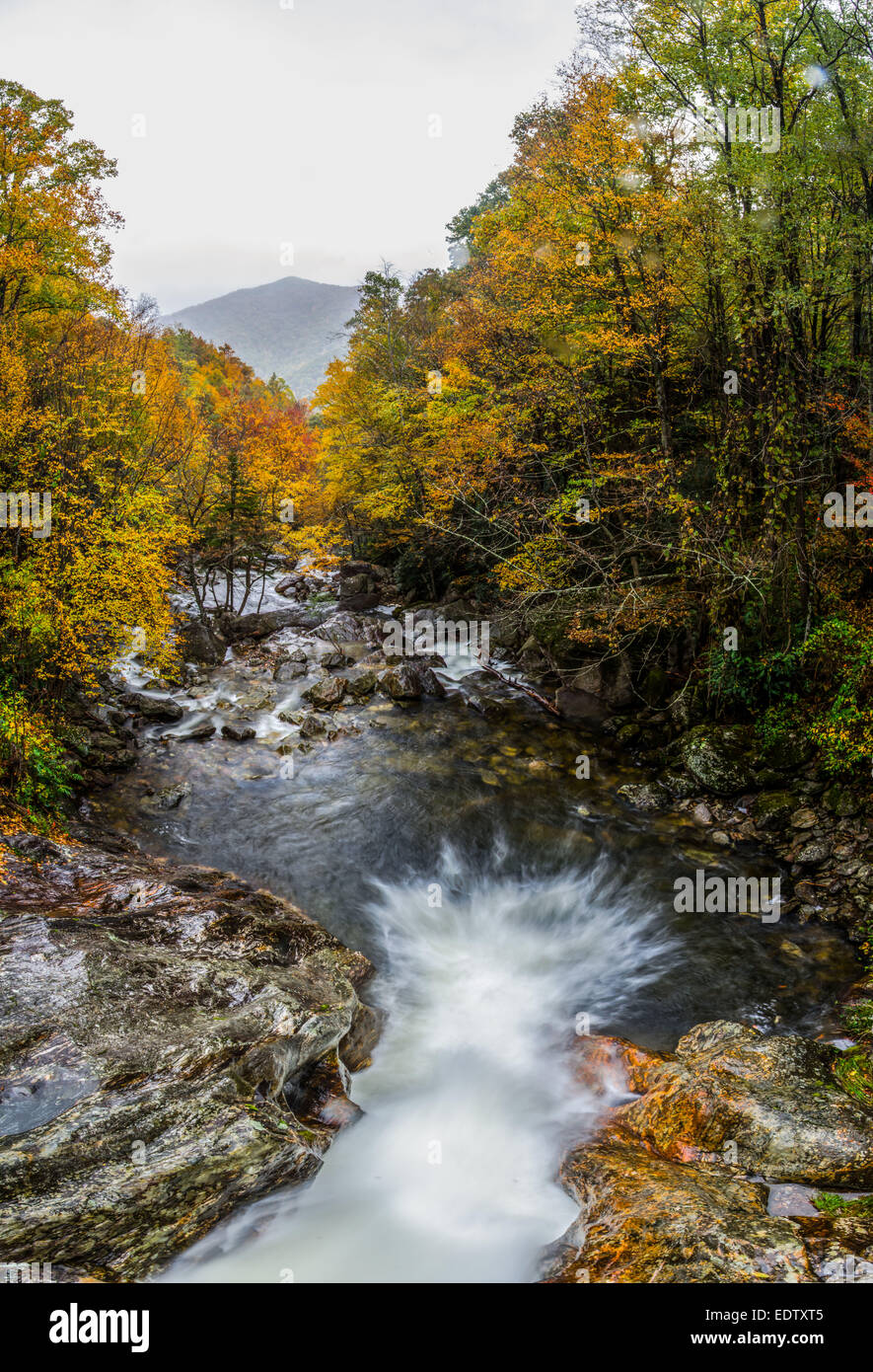 Water pours over a cascade in a long exposure shot taken from above in ...