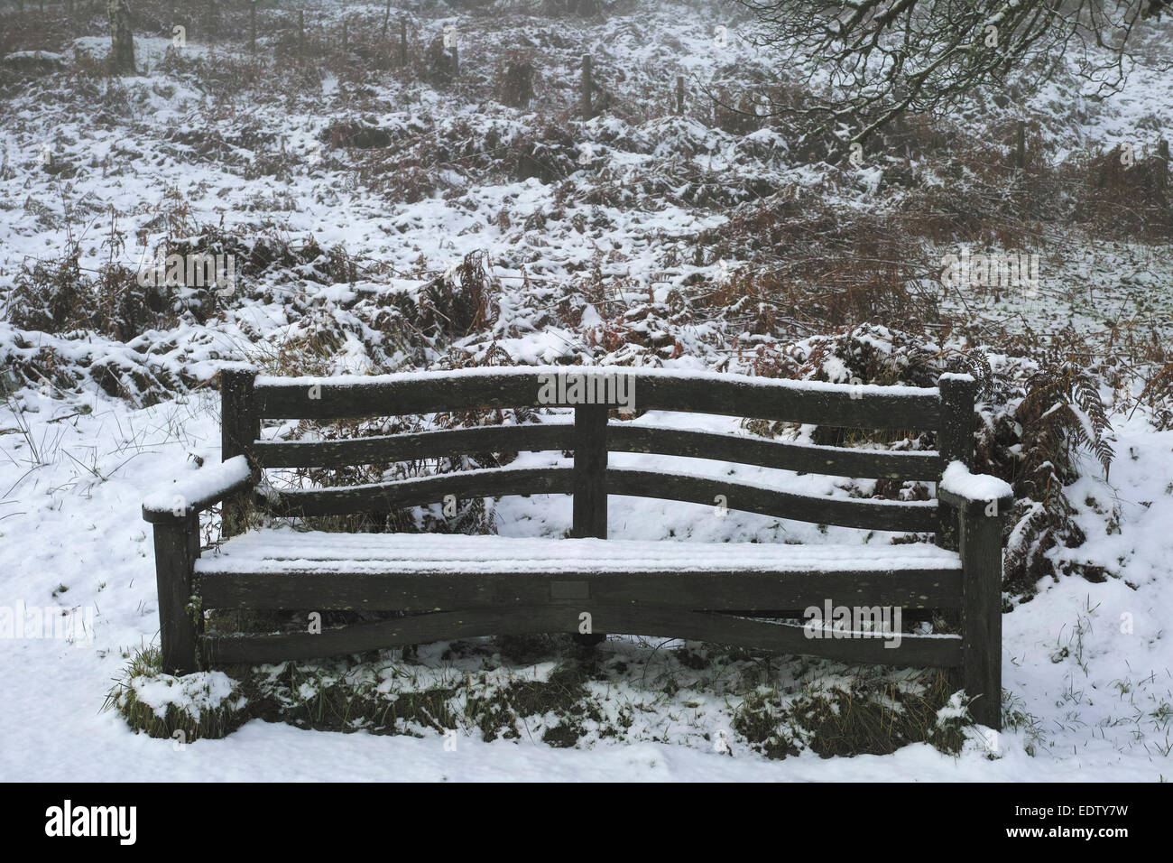 Weather bench hi-res stock photography and images - Alamy