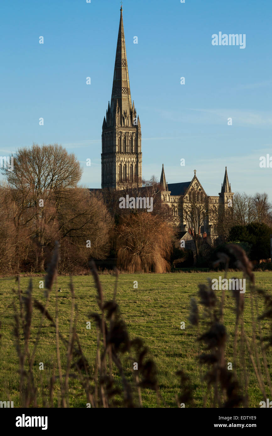 View of Salisbury Cathedral spire from 'Town Path' with 'Harnham Water ...