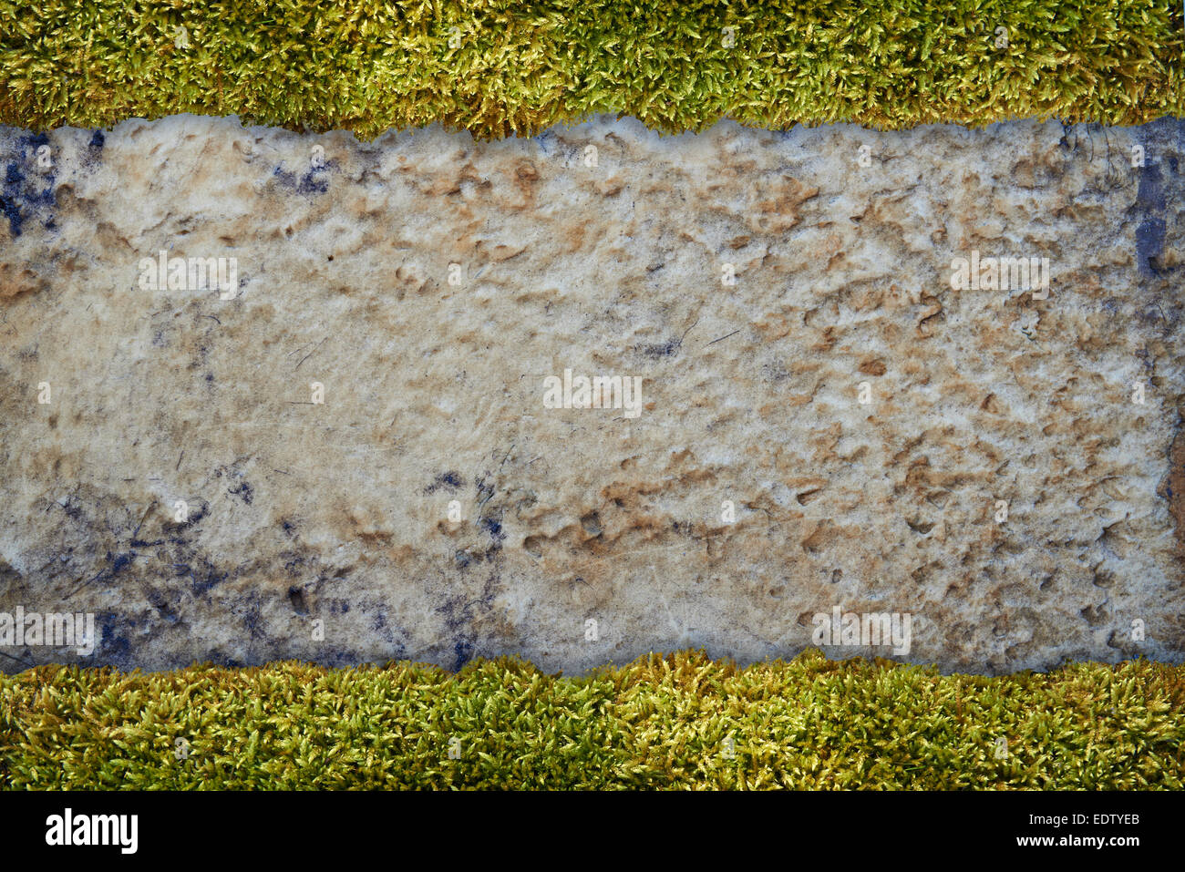 Grungy texture with strips of grass Stock Photo - Alamy