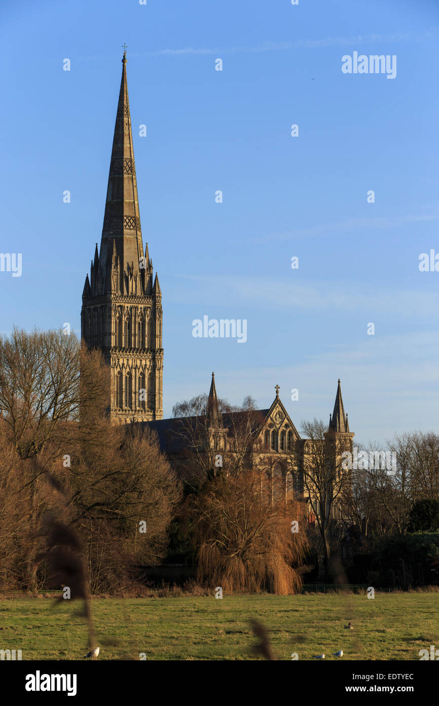 Harnham water hi-res stock photography and images - Alamy