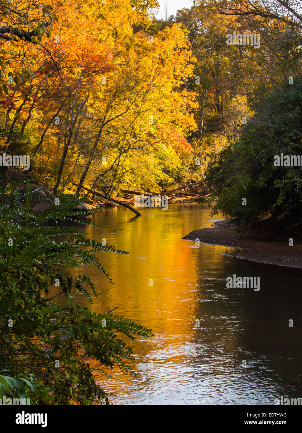 A river flows around a bend lined with trees changing colors in autumn ...