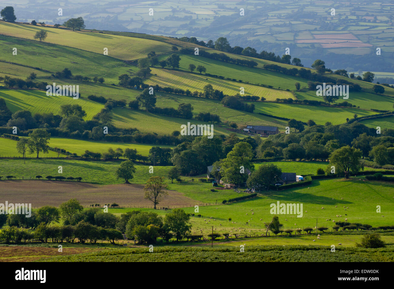 UK, Wales, Powys, landscape Stock Photo - Alamy