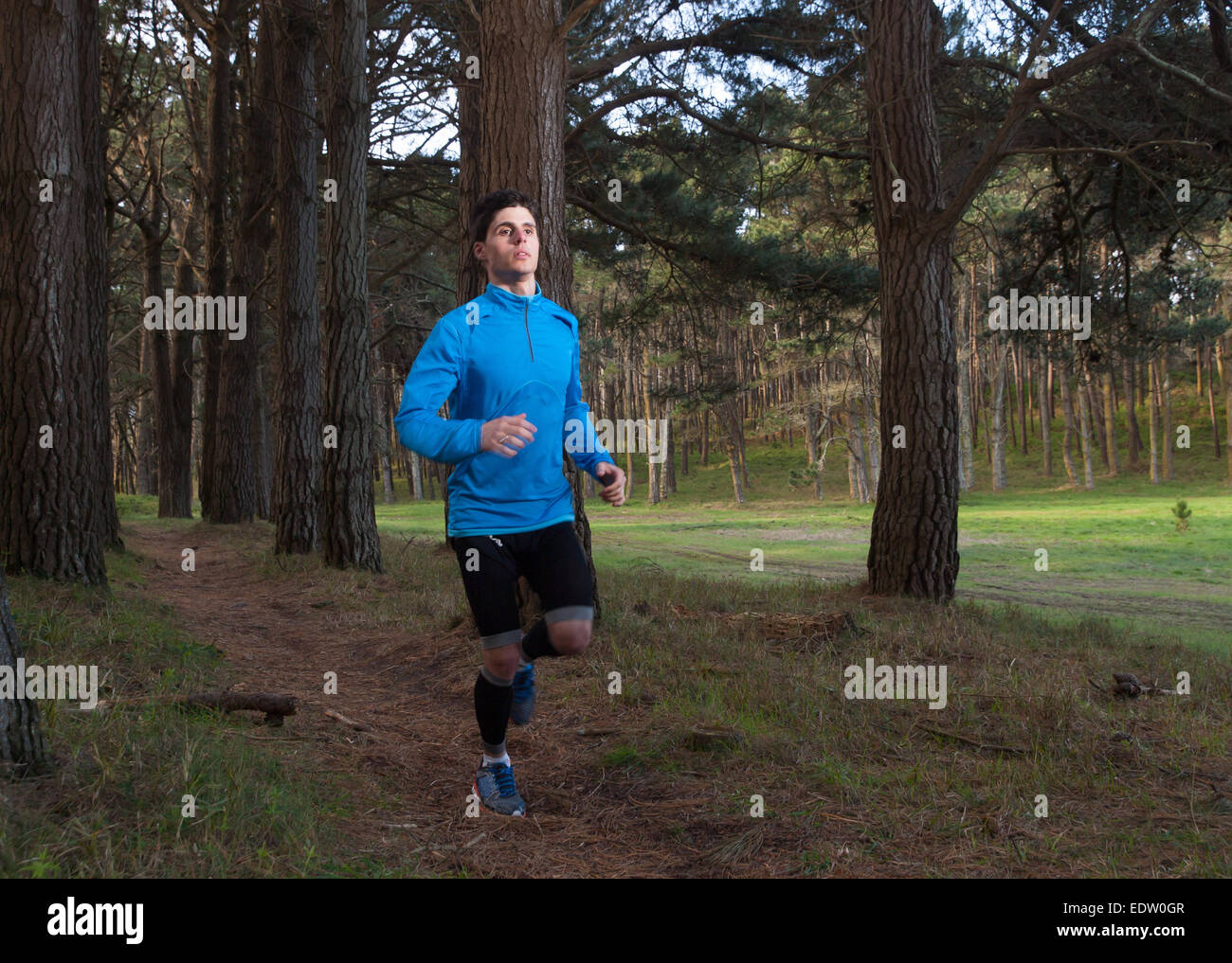 Forest run man hi-res stock photography and images - Alamy