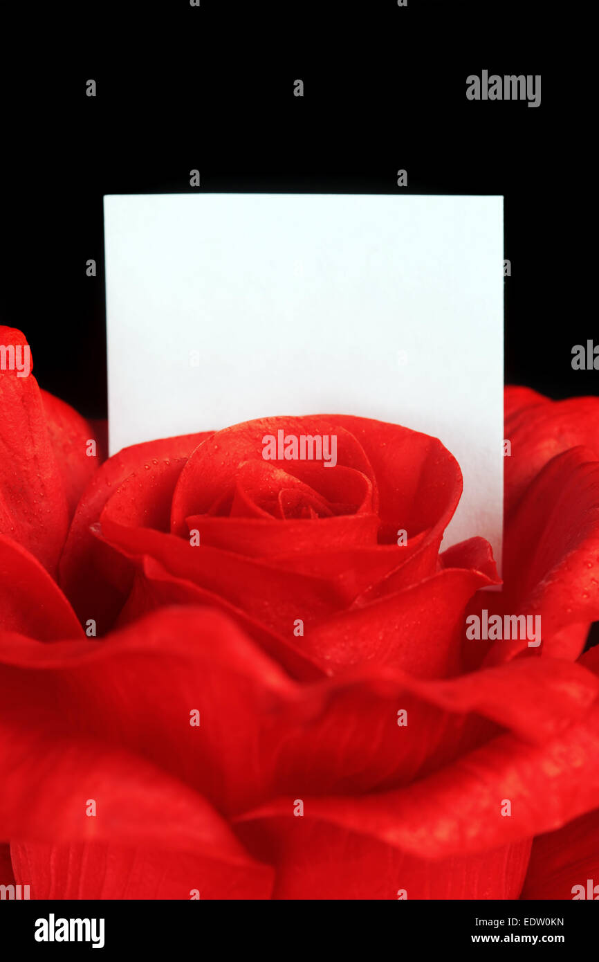 Red rose with blank note Stock Photo - Alamy