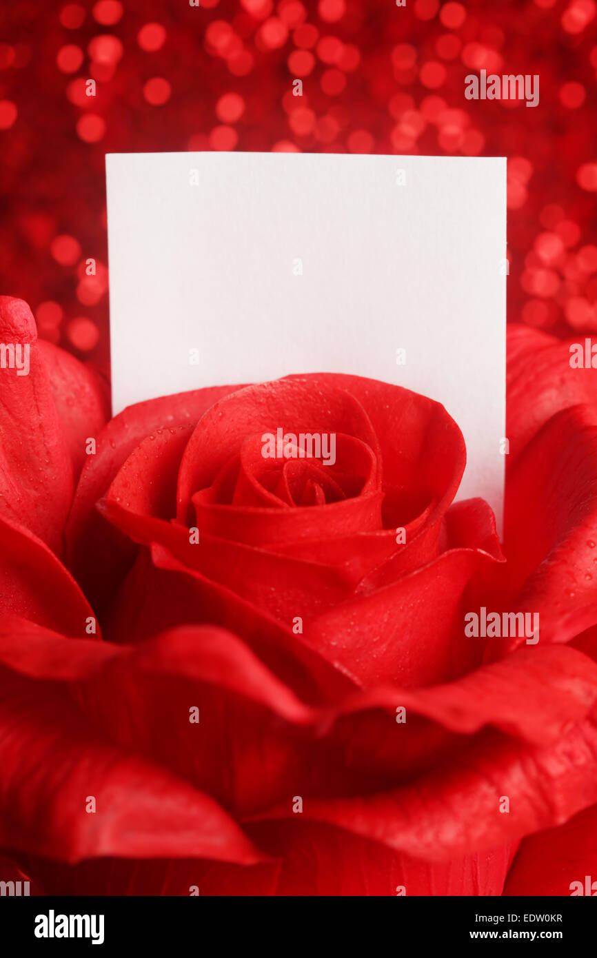 Red rose with blank note Stock Photo - Alamy