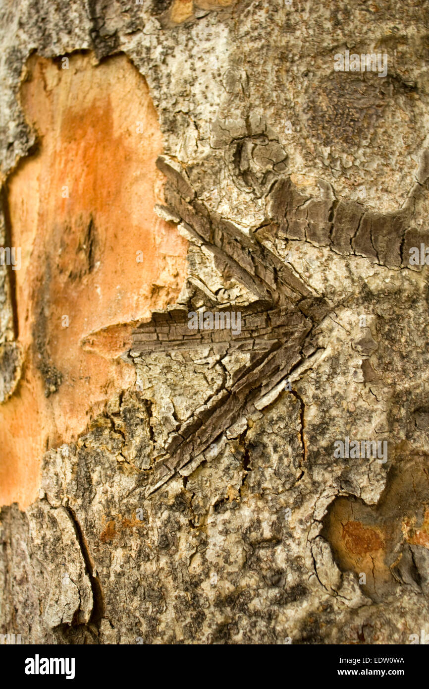 Brown sign with an arrow hi-res stock photography and images - Alamy