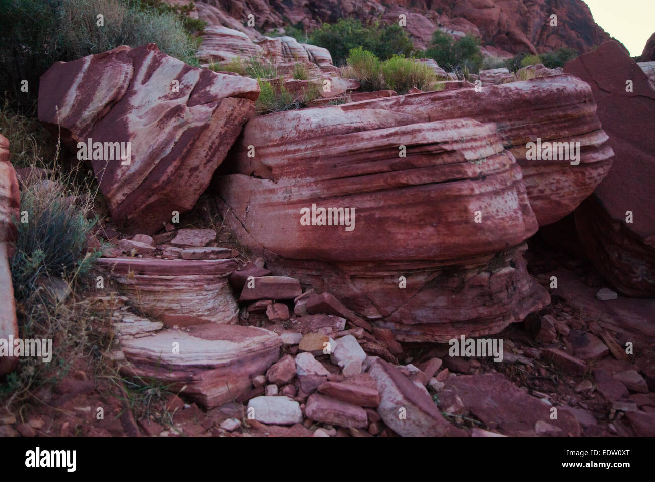 ROCK FORMATIONS and desert plants in the RED ROCK CONSERVATION AREA ...