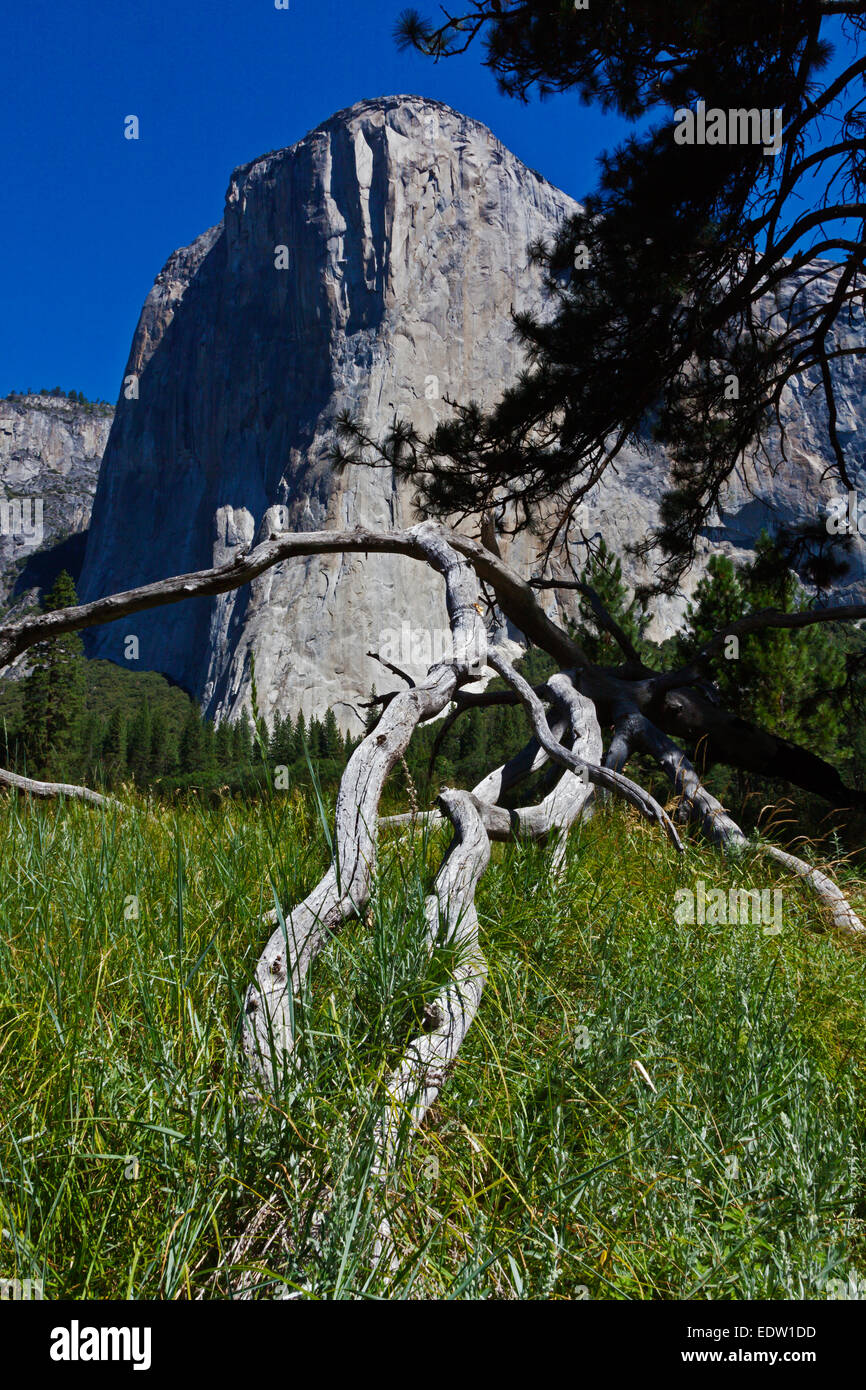 Yosemite valley vertical view hi-res stock photography and images - Alamy