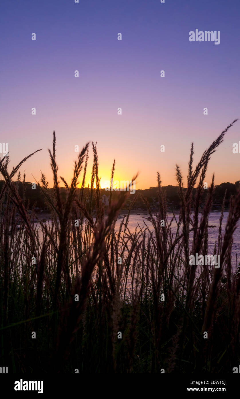 Sunset in nature Stock Photo - Alamy