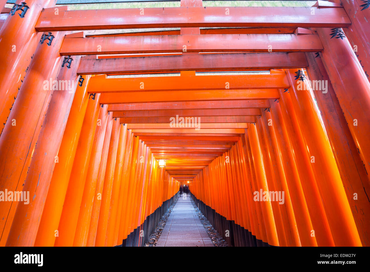 Thousands of vermilion torii gates at Fushimi Inari Taisha Shrine in ...
