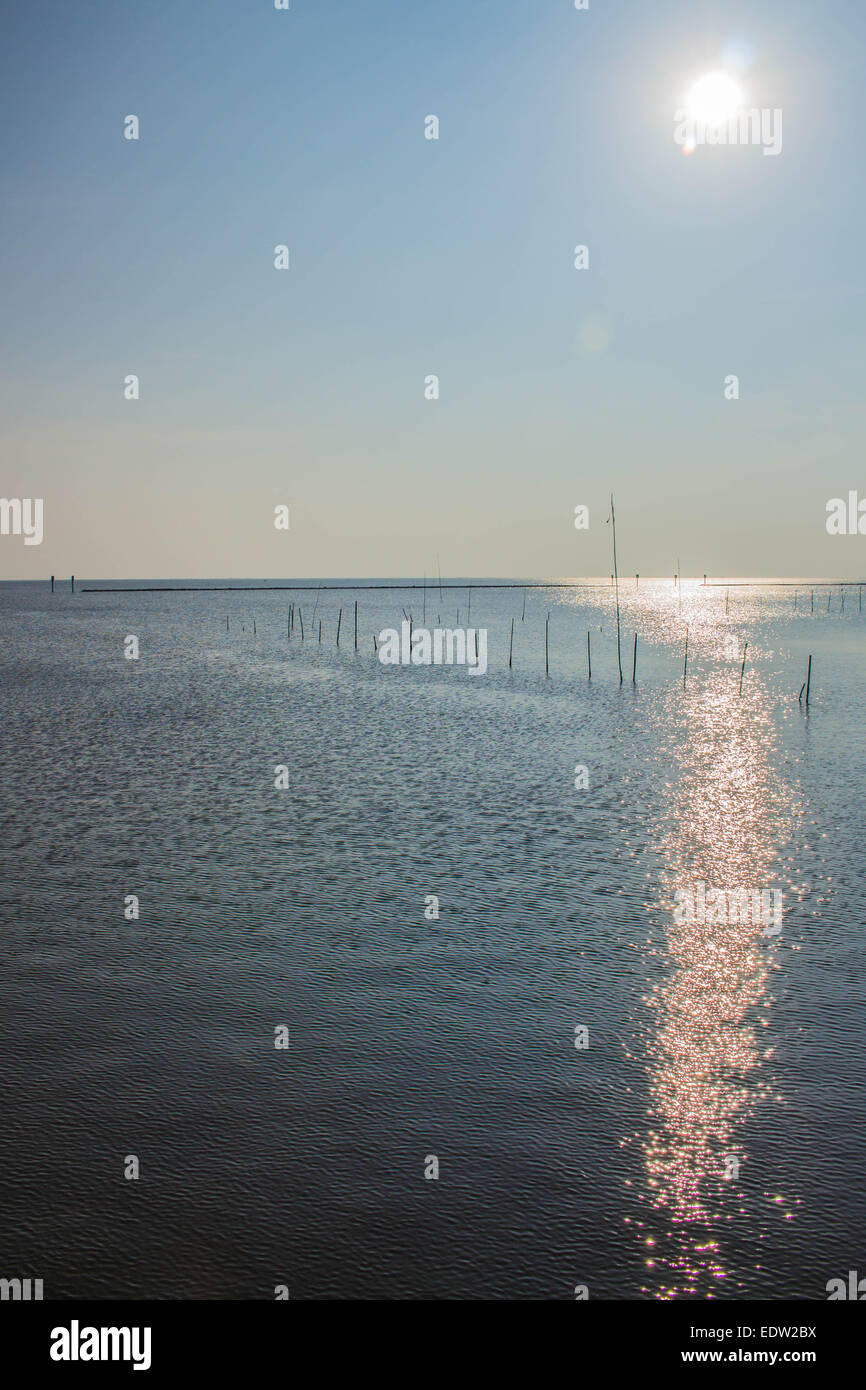 Sun light shining on the sea Stock Photo - Alamy