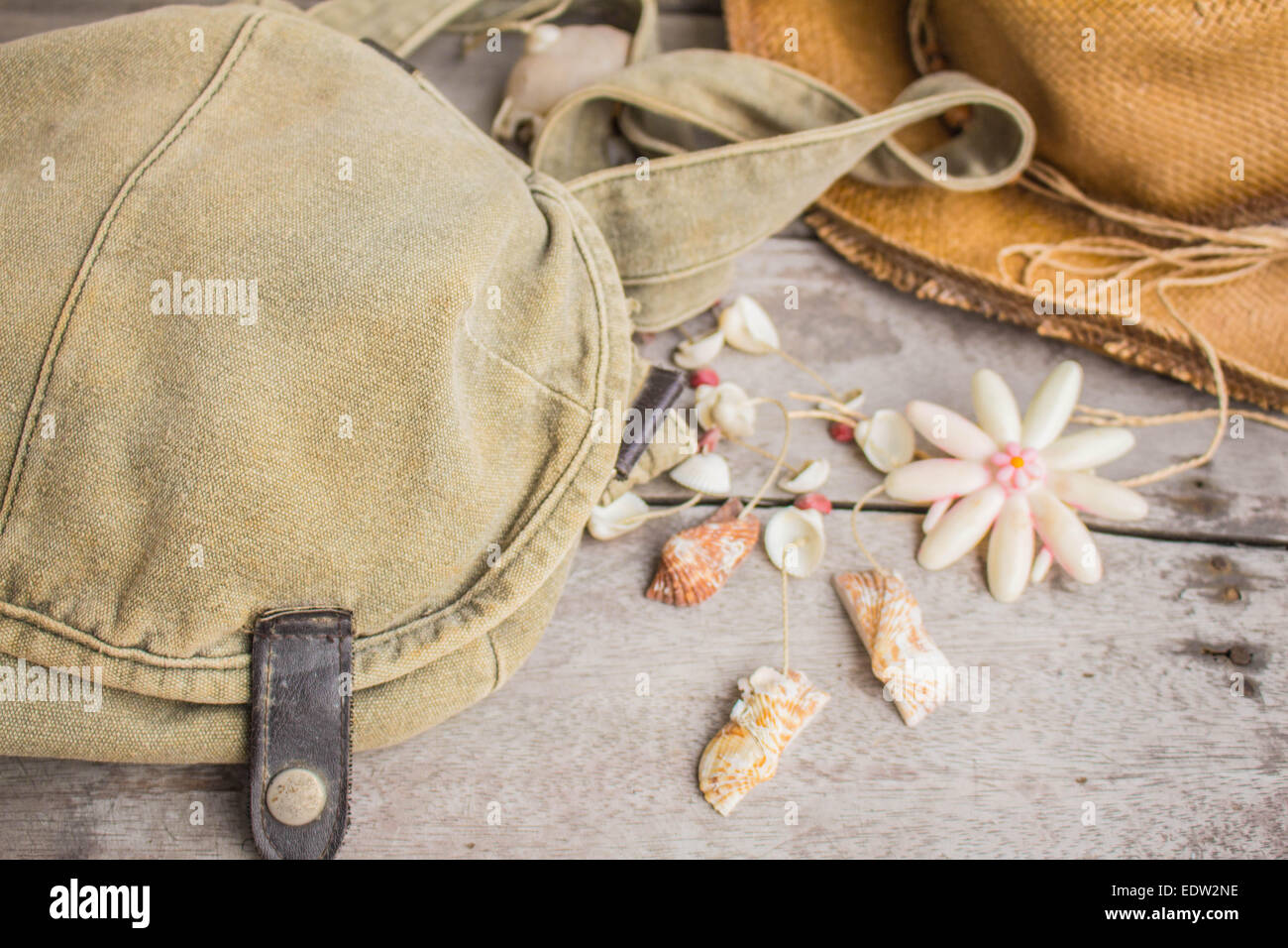 Snake shells hi-res stock photography and images - Alamy