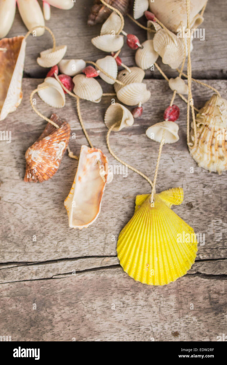 Seashell sizes hi-res stock photography and images - Alamy