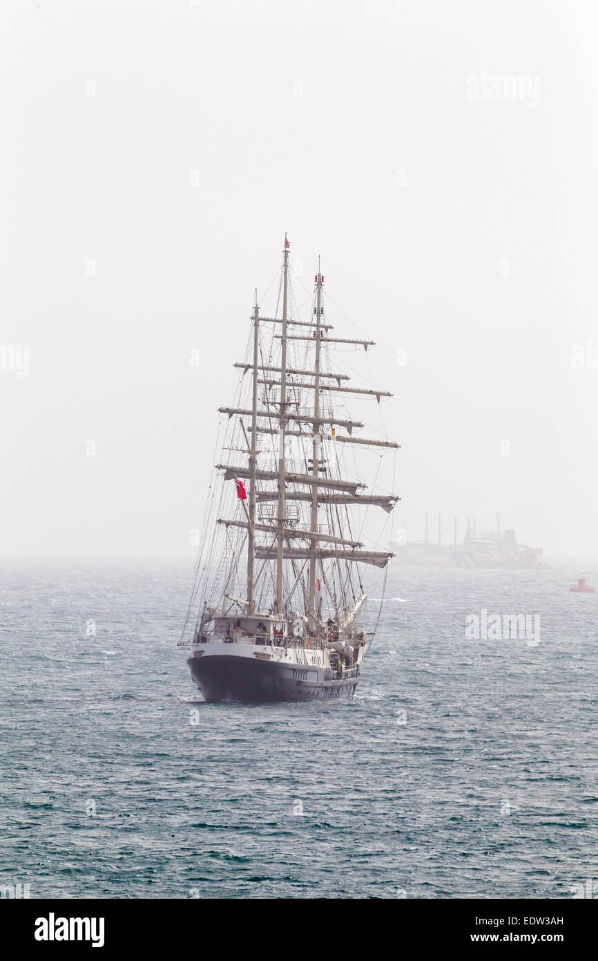 Tenacious hi-res stock photography and images - Alamy