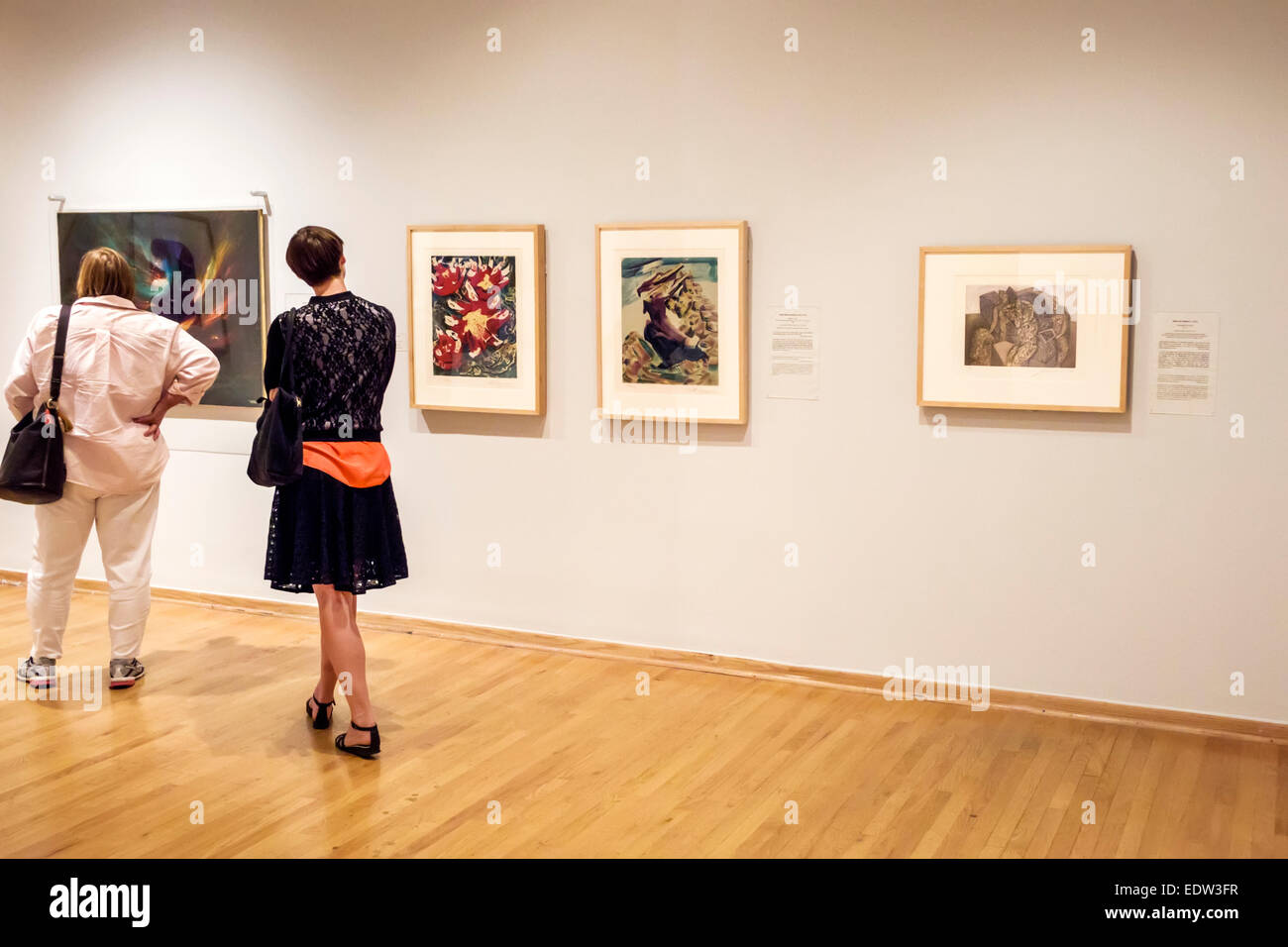 Chicago Illinois,Lower West Side,Pilsen,National Museum of Mexican Art ...