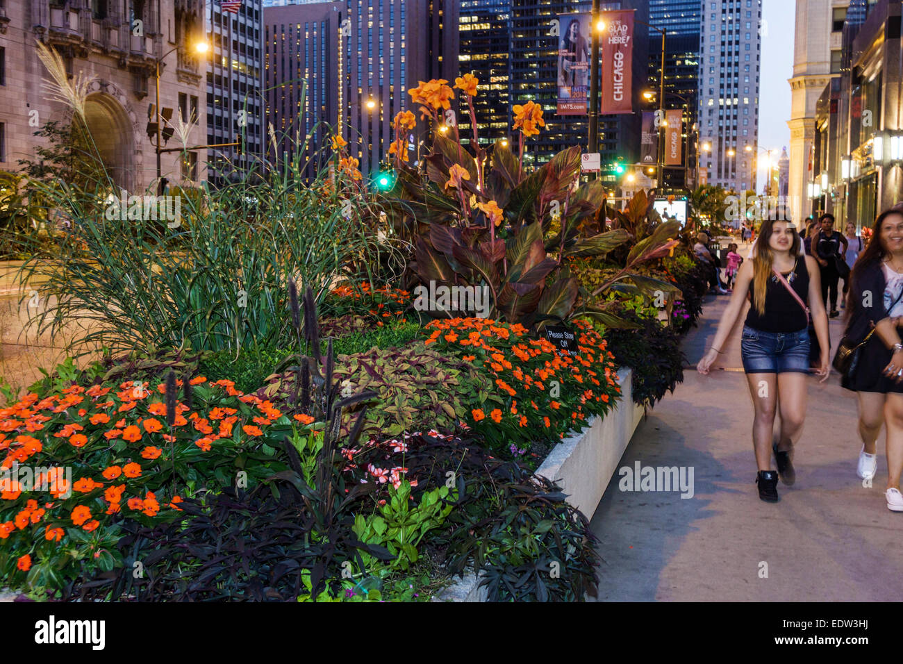 Magnificent mile river chicago hi-res stock photography and images - Alamy
