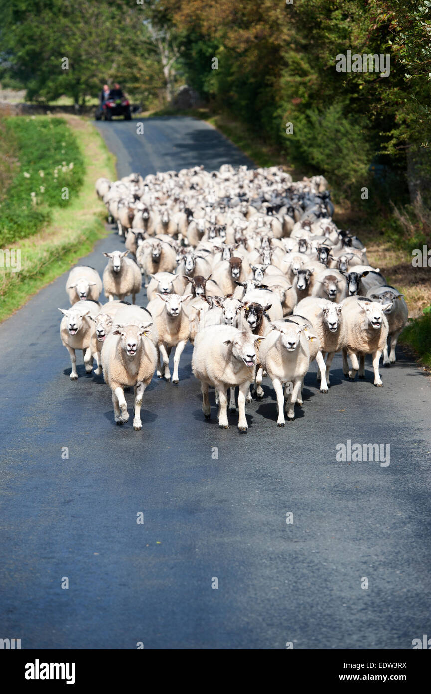 Country road block hi-res stock photography and images - Alamy