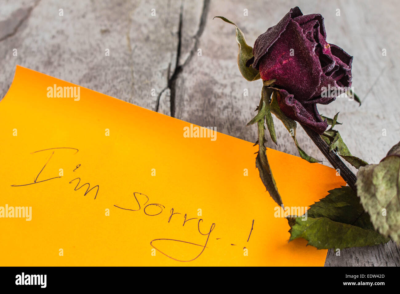 Roses and condolence message on a wooden Stock Photo - Alamy