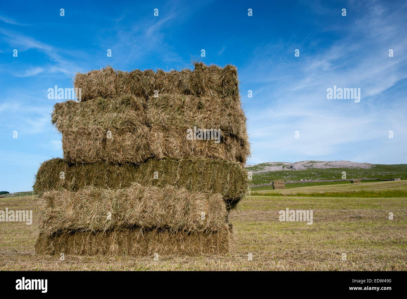 Flat eight hi-res stock photography and images - Alamy