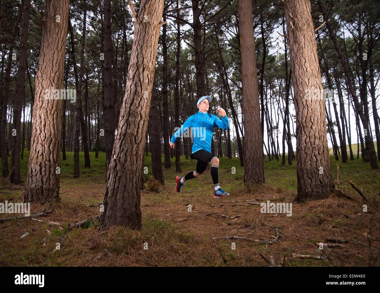 Man running in the forest outdoors Stock Photo - Alamy