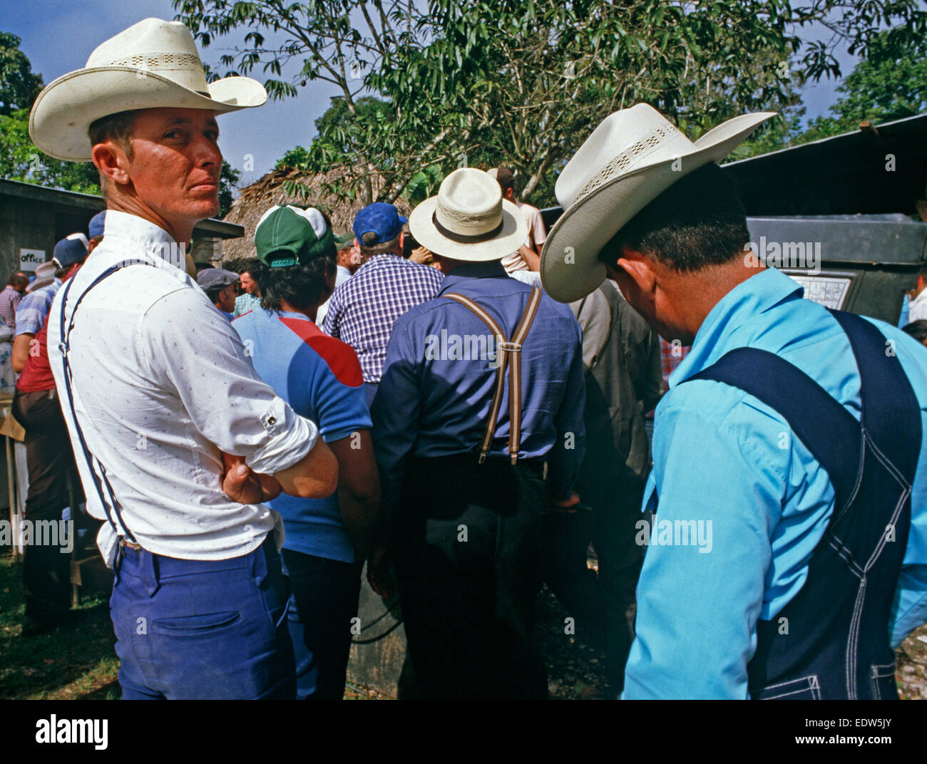 Mennonite farmers at farm auction in Spanish Lookout settlement, Belize ...