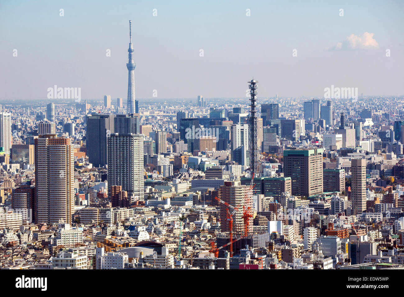 Aerial Tokyo Cityscape from Shinjuku Stock Photo - Alamy