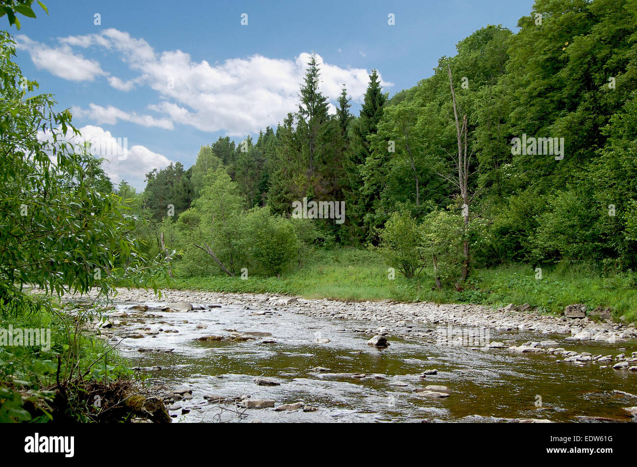 The picturesque mountain river valley surrounded by forest Stock Photo ...