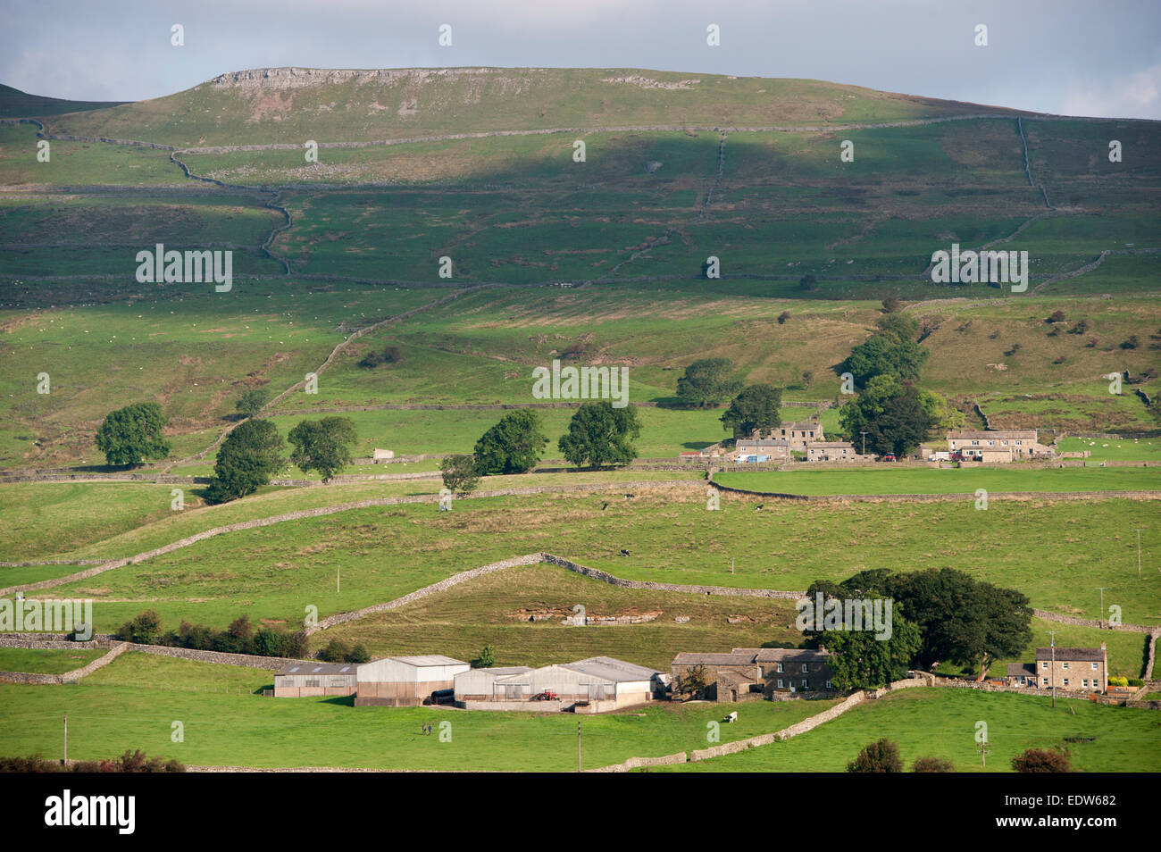 Farmstead in Wensleydale, North Yorkshire, UK Stock Photo - Alamy