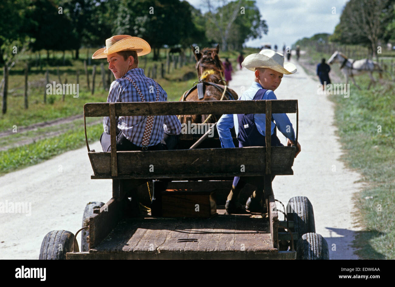 Young Mennonites from orthodox settlement in horse and buggy , Belize ...