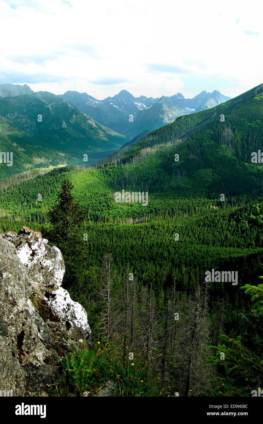 Beautiful mountain landscape with views of the deep valley Stock Photo ...