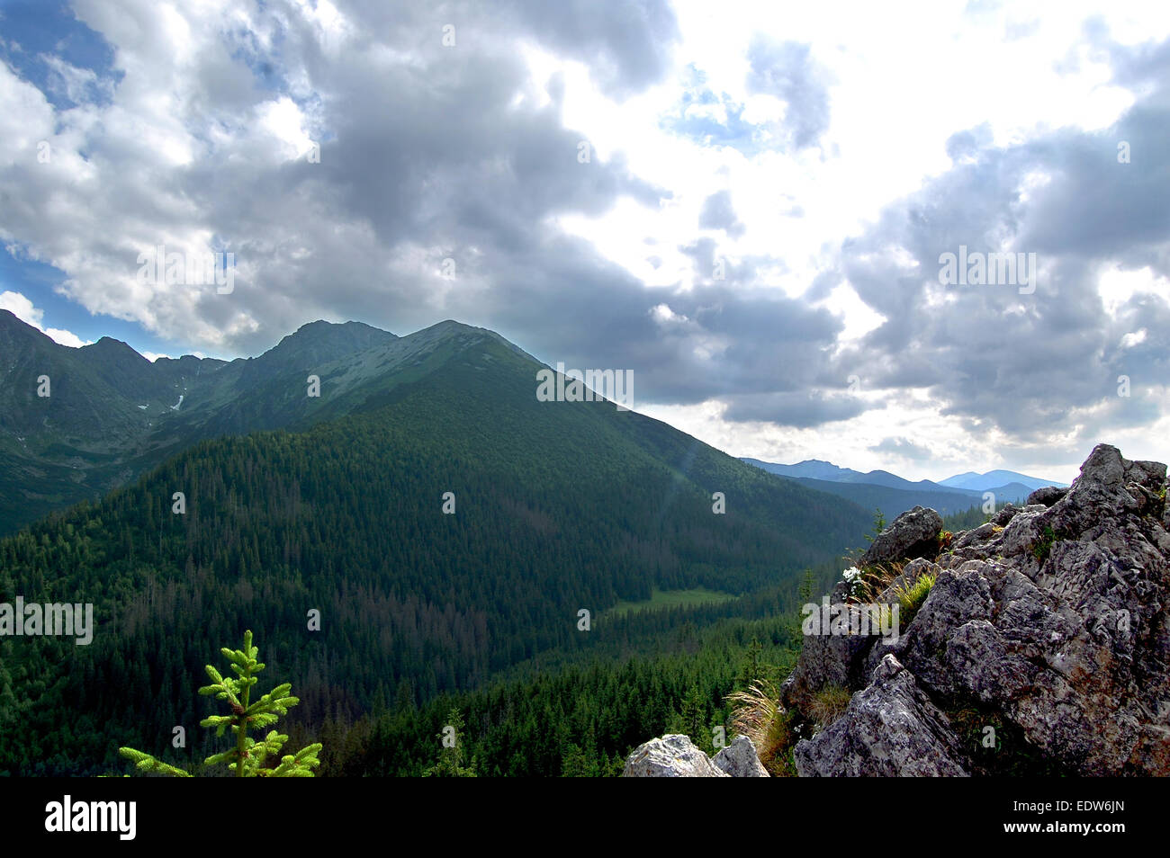 Beautiful mountain landscape with views of the deep valley Stock Photo ...