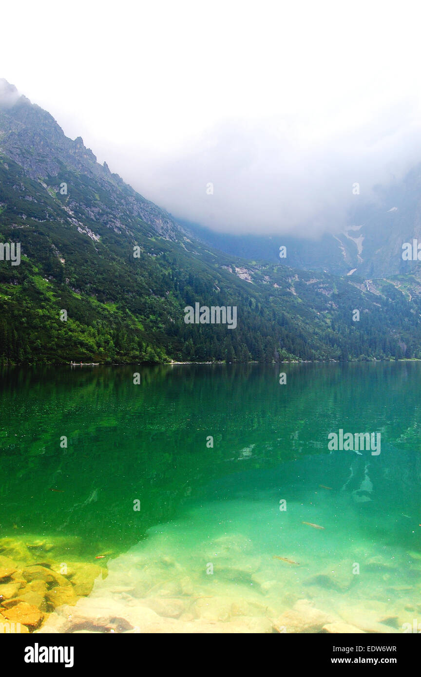 Beautiful clear water in a mountain lake Stock Photo - Alamy
