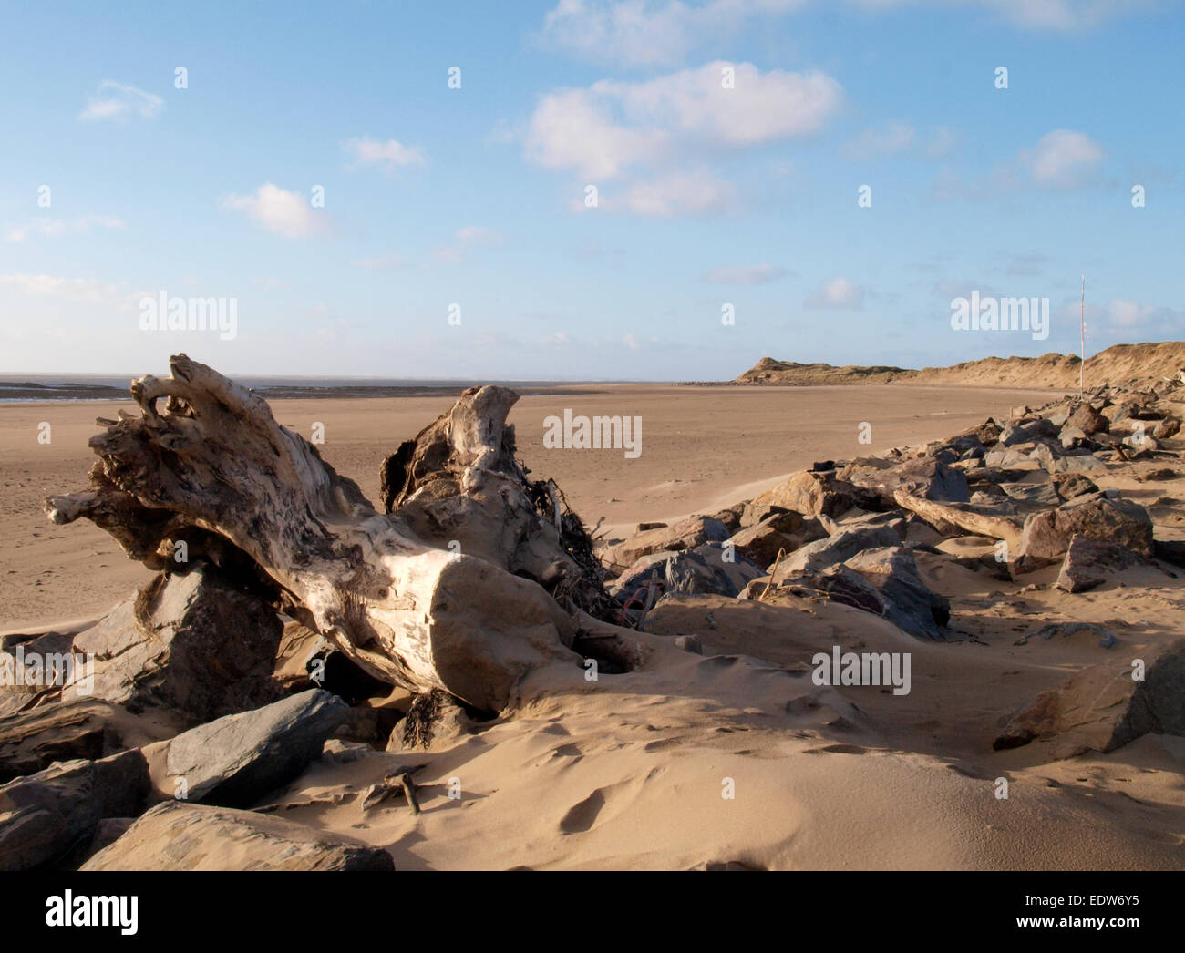 Washed up along beach hi-res stock photography and images - Alamy