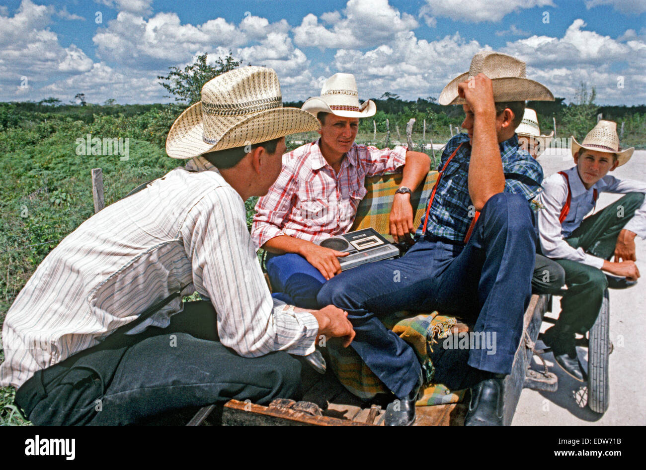 Young Mennonite men in horse and buggy from orthodox communities ...