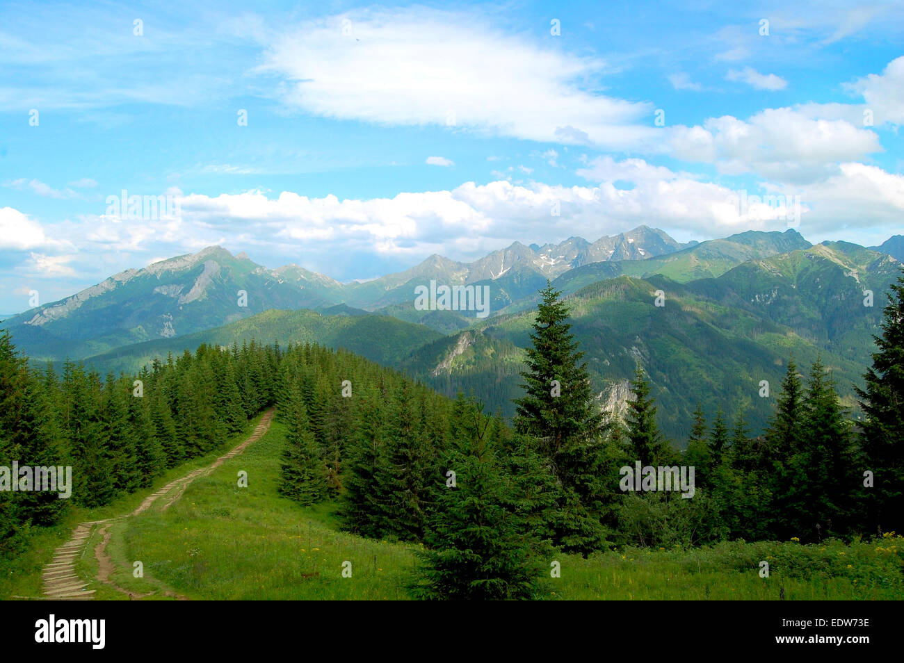 Mountain trail at the edge of the forest Stock Photo - Alamy